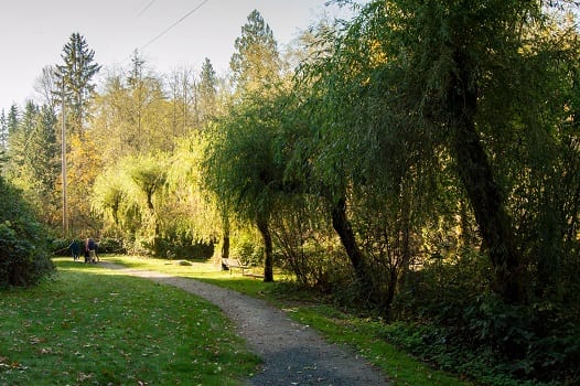 Williams Park - 1000 Towns of Canada