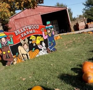 Camping at Brantwood Farms - Brantford | Ontario - 1000 Towns of Canada