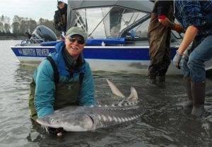 Nechako White Sturgeon - Vanderhoof | British Columbia - 1000 Towns of ...