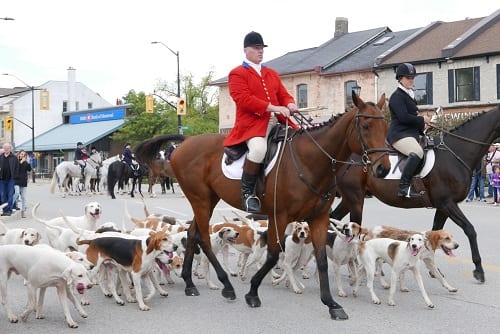 Elora | Ontario - 1000 Towns of Canada
