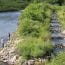 Minnedosa | Manitoba - 1000 Towns of Canada