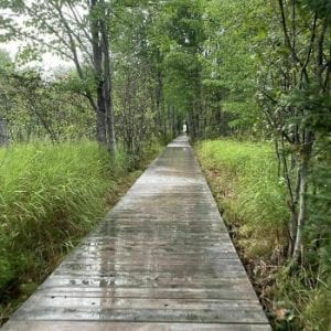 Daly Point Nature Reserve - Bathurst | New Brunswick - 1000 Towns of Canada