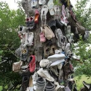 The Shoe Tree - Paris | Ontario - 1000 Towns of Canada