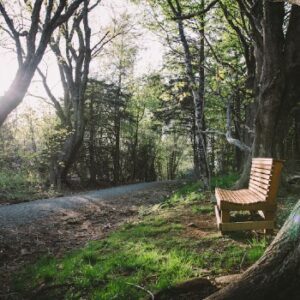 Amherst Point Bird Sanctuary - Amherst | Nova Scotia - 1000 Towns of Canada