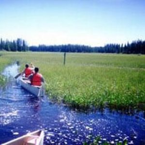 Moose Valley Provincial Park - 100 Mile House | British Columbia - 1000 ...