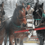 Bowden | Alberta - 1000 Towns of Canada