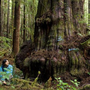 Avatar Grove - 1000 Towns of Canada