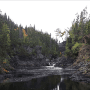 Mint Brook Trail - Gambo | Newfoundland and Labrador - 1000 Towns of Canada