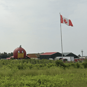 The Big Apple - Colborne | Ontario - 1000 Towns of Canada