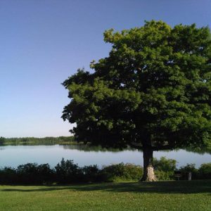 Binbrook Conservation Area - Binbrook | Ontario - 1000 Towns of Canada