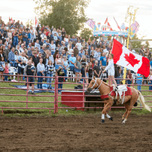 Daines Pro Rodeo - Innisfail | Alberta - 1000 Towns of Canada