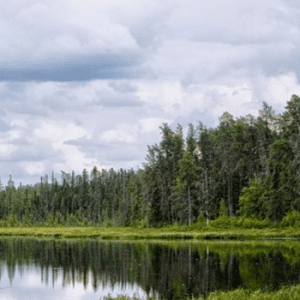Esker Lakes Provincial Park - Kirkland Lake | Ontario - 1000 Towns of ...