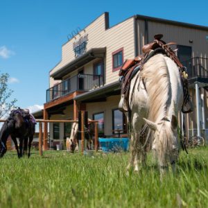 Hard Knox Brewery - Black Diamond | Alberta - 1000 Towns of Canada