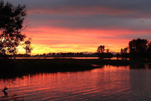 Ladner | British Columbia - 1000 Towns of Canada