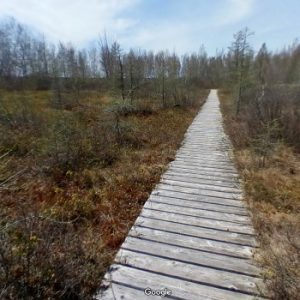 Alfred Bog Walk - Alfred | Ontario - 1000 Towns of Canada