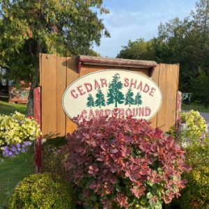 Cedar Shade Campground - Alfred | Ontario - 1000 Towns of Canada