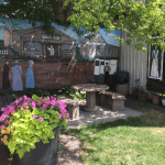 Wadena | Saskatchewan - 1000 Towns of Canada