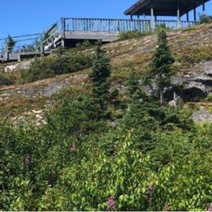 Harbour Round Lookout - La Scie | Newfoundland and Labrador - 1000 ...