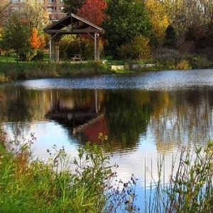 Smith Pond - Ingersoll | Ontario - 1000 Towns of Canada