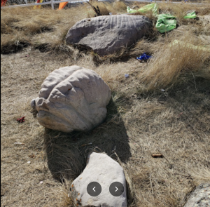 Viking Ribstones - Viking | Alberta - 1000 Towns of Canada