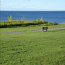 Ajax | Ontario - 1000 Towns of Canada