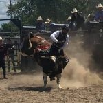 Carseland | Alberta - 1000 Towns of Canada