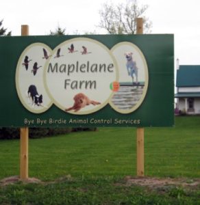 Maplelane Farm Event Centre - Beeton | Ontario - 1000 Towns of Canada