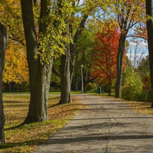 Cannington | Ontario - 1000 Towns of Canada