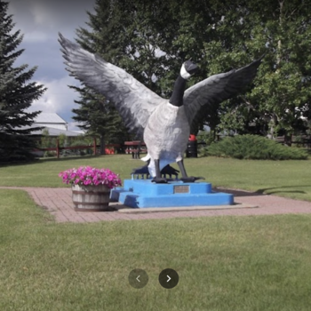 Hanna’s Second Goose - Hanna | Alberta - 1000 Towns of Canada