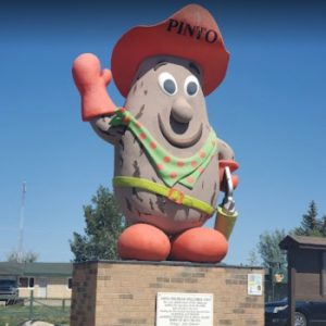 Pinto Macbean - Bow Island | Alberta - 1000 Towns of Canada