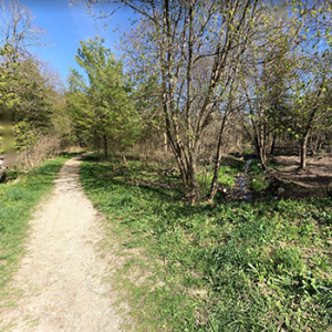 Saugeen River Trail - Walkerton | Ontario - 1000 Towns of Canada