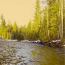 Edgewood | British Columbia - 1000 Towns of Canada