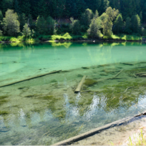 Winlaw | British Columbia - 1000 Towns of Canada