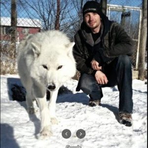 A Wolf Adventure Outreach and Retreat - Saint Louis | Saskatchewan ...