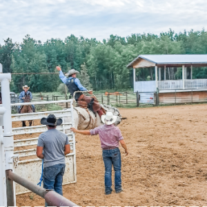Boyle Agricultural Grounds - Boyle | Alberta - 1000 Towns of Canada