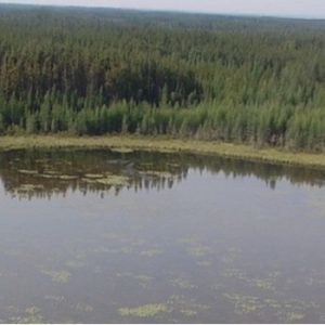 Hubert Lake Wildland - Fawcett | Alberta - 1000 Towns of Canada