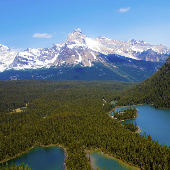 Field | British Columbia - 1000 Towns of Canada