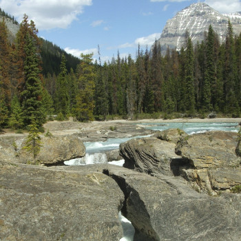 natural bridge lodge