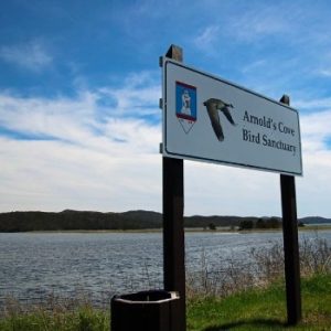 Arnold’s Cove Bird Sanctuary - Arnold's Cove | Newfoundland and ...