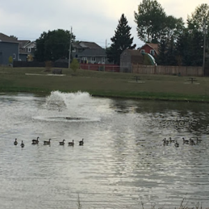 Gerald Funk Park - Dalmeny | Saskatchewan - 1000 Towns of Canada