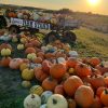 Cookstown | Ontario - 1000 Towns of Canada