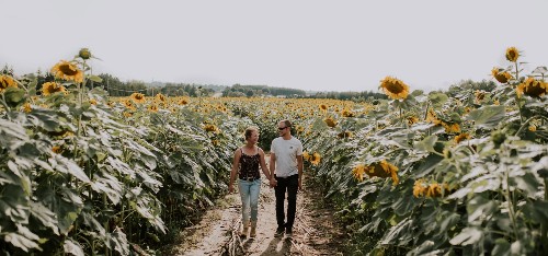 Laura’s Farm Stand - Cookstown | Ontario - 1000 Towns of Canada
