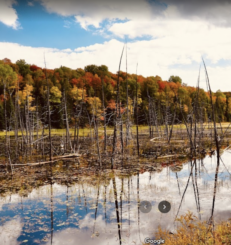 IB & O Rail Trail - Wilberforce | Ontario - 1000 Towns of Canada
