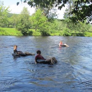 Gaspereau River Tubing - Wolfville | Nova Scotia - 1000 Towns of Canada